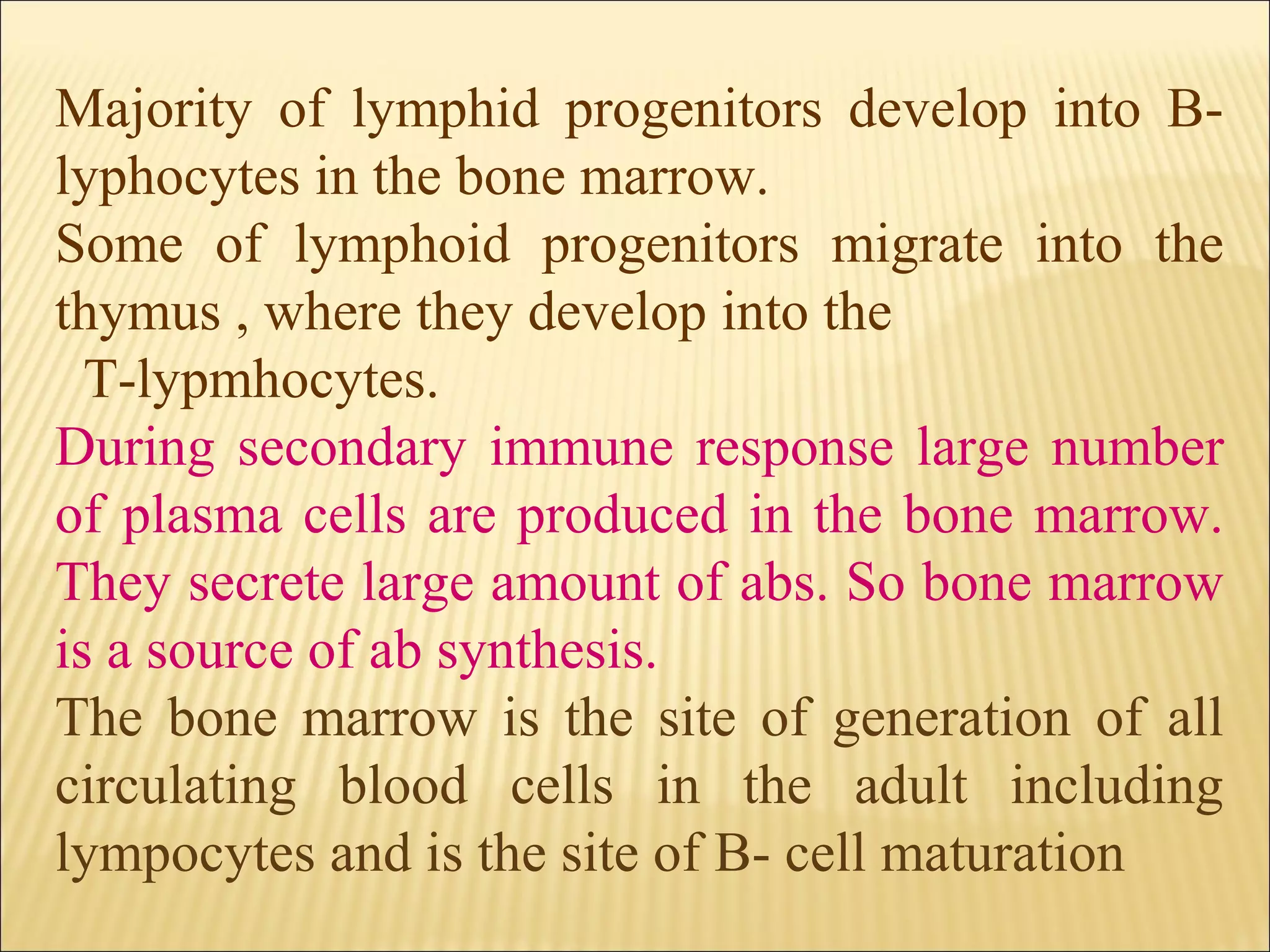 Lymphoid Organs Ppt Ppt