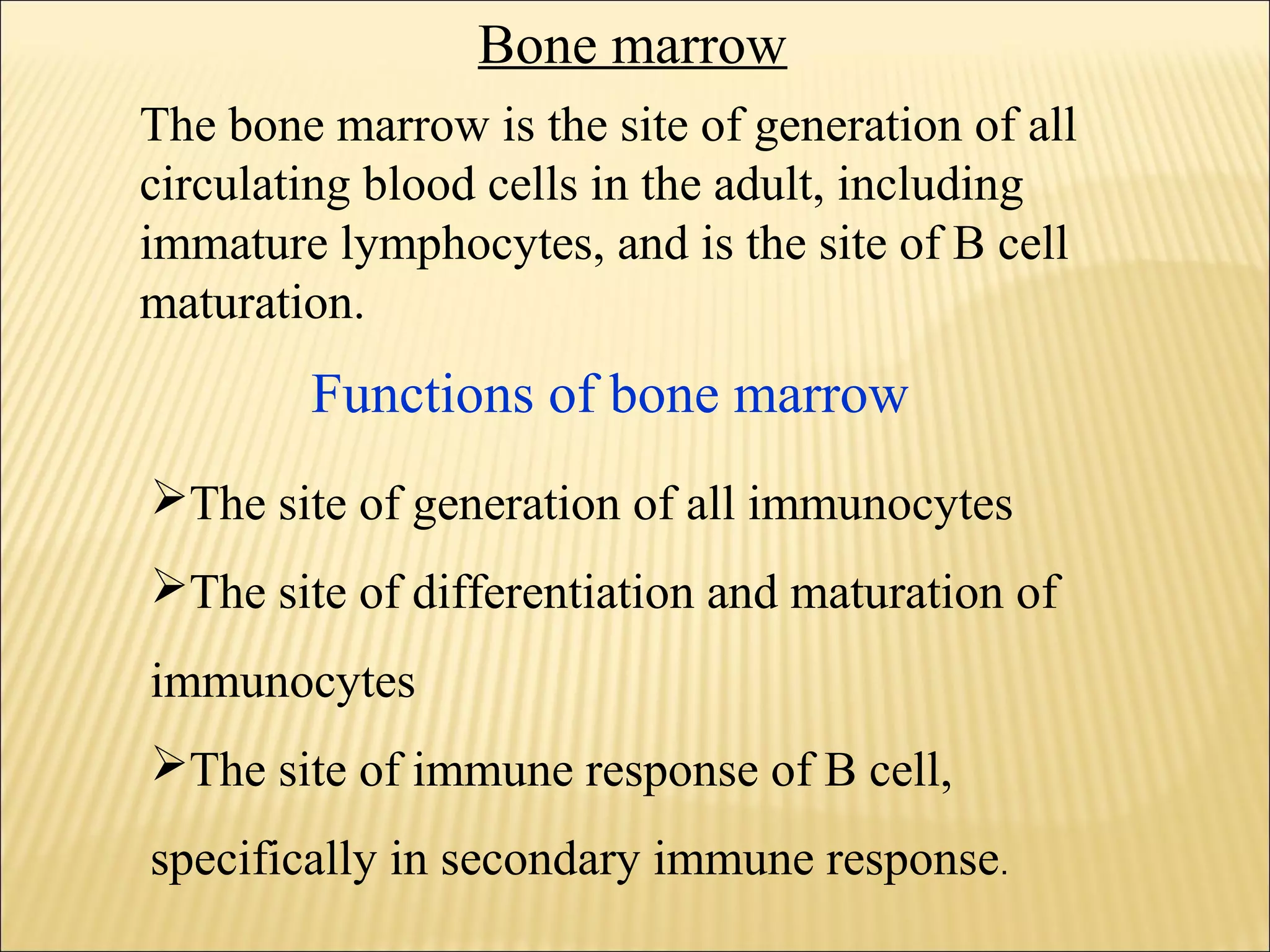 Lymphoid Organs Ppt Ppt 1472