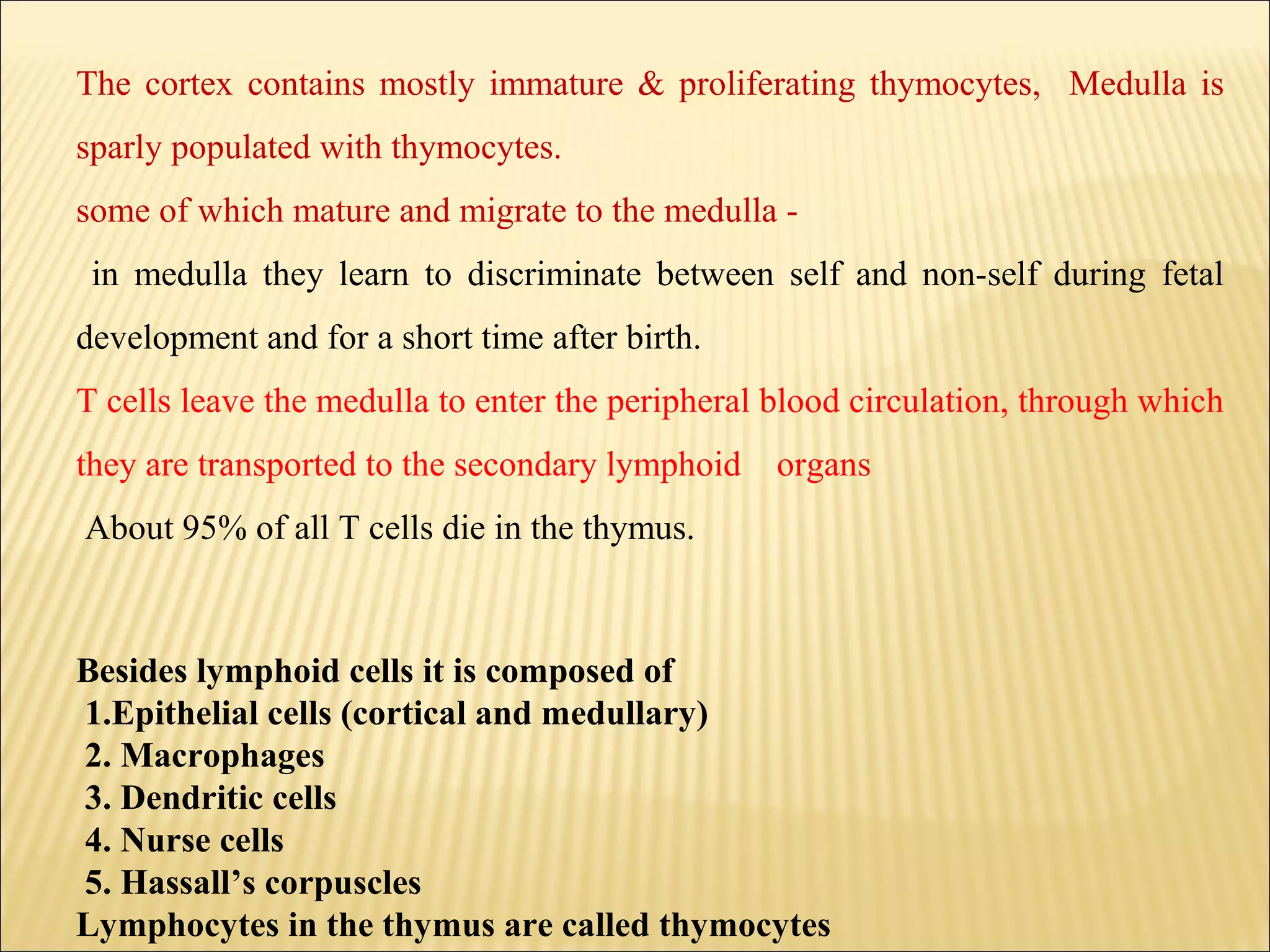 Lymphoid Organs Ppt Ppt