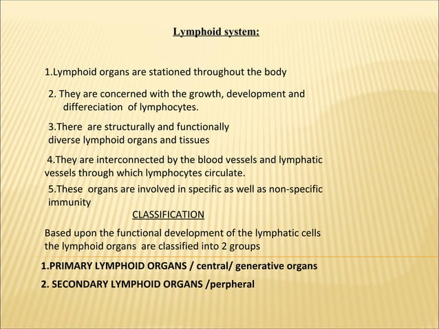 Lymphoid Organs Ppt Ppt