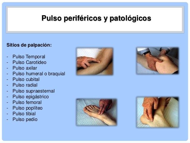 Pulso Tibial Posterior