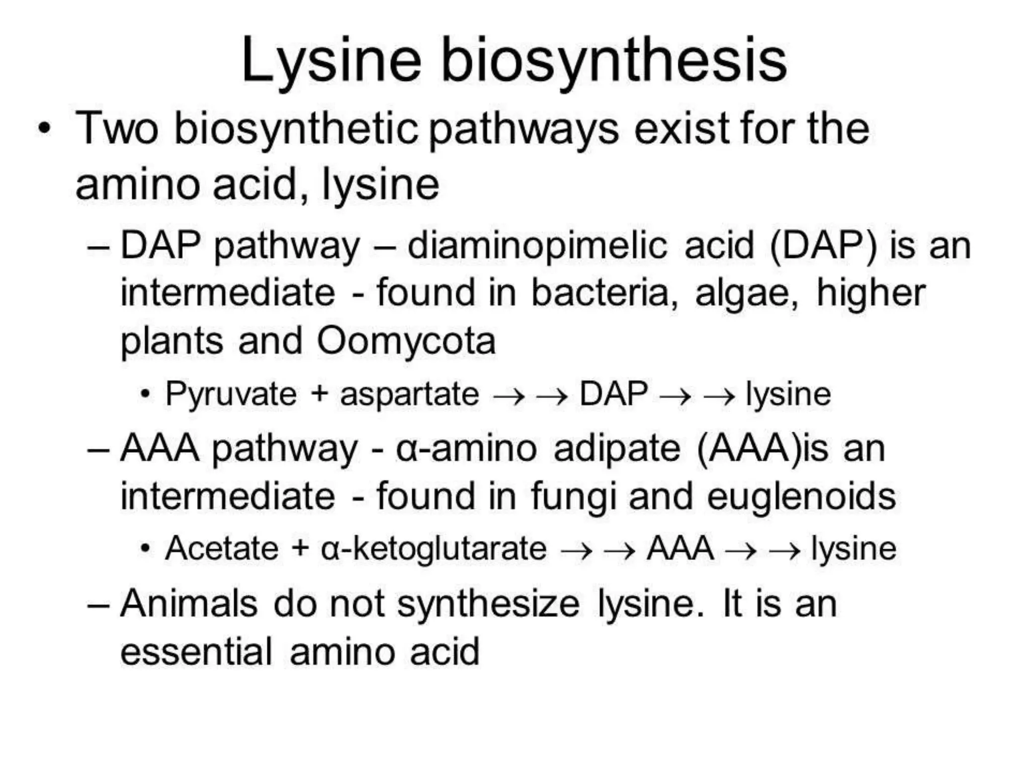 Industrial Production of L-Lysine by Fermentation | PPTX