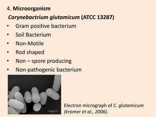 Industrial Production of L-Lysine by Fermentation | PPTX