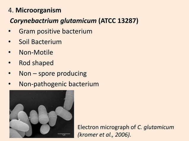 Industrial Production of L-Lysine by Fermentation | PPTX