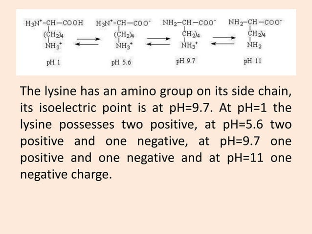 Industrial Production of L-Lysine by Fermentation | PPTX