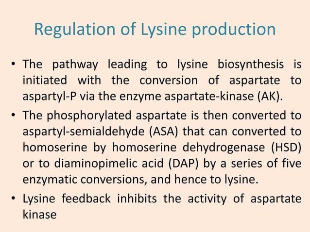 Industrial Production of L-Lysine by Fermentation | PPTX