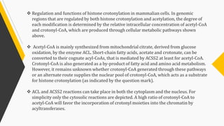Lysine Crotonylation.pptx