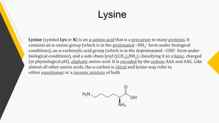 Lysine Crotonylation.pptx
