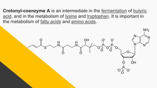 Lysine Crotonylation.pptx