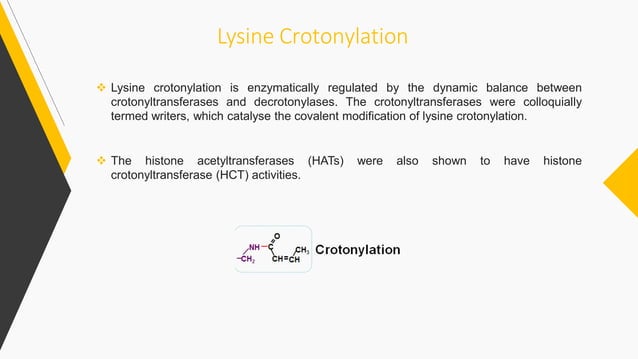 Lysine Crotonylation.pptx