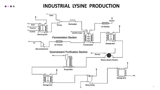 Lysine production