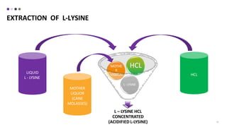 LYSINE PRODUCTION..pptx