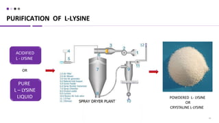 LYSINE PRODUCTION..pptx