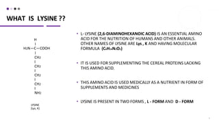 LYSINE PRODUCTION..pptx