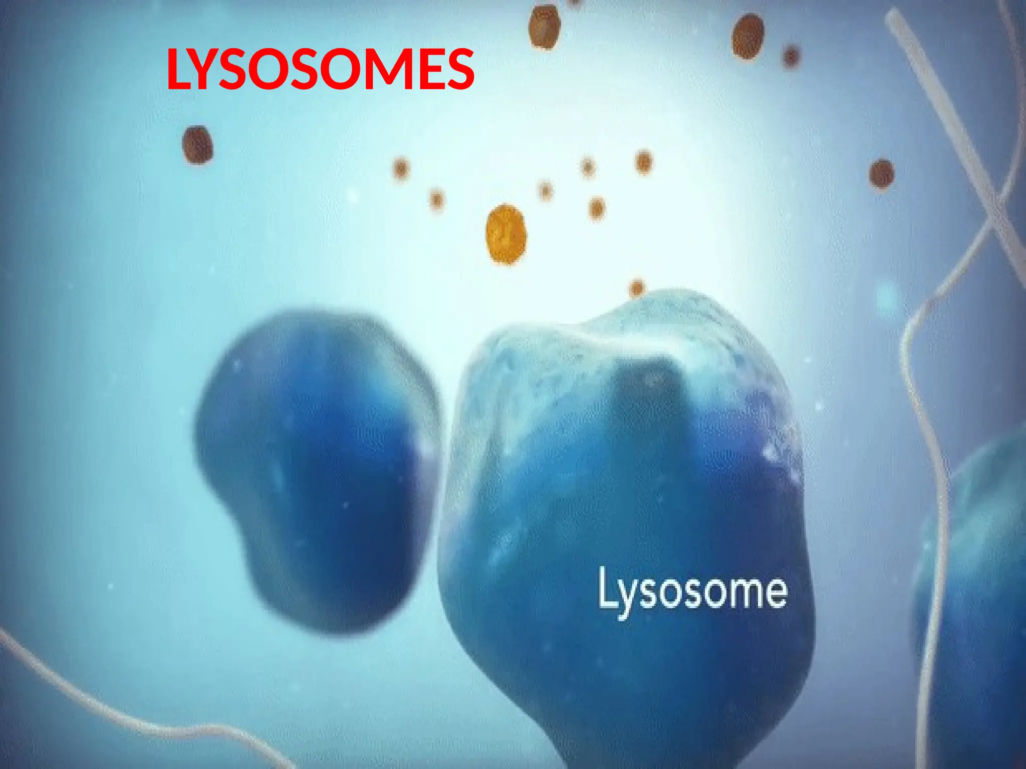 STRUCTURE,TYPES AND FUNCTIONS OF LYSOSOMES | PPTX
