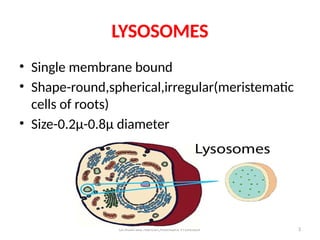 STRUCTURE,TYPES AND FUNCTIONS OF LYSOSOMES | PPTX