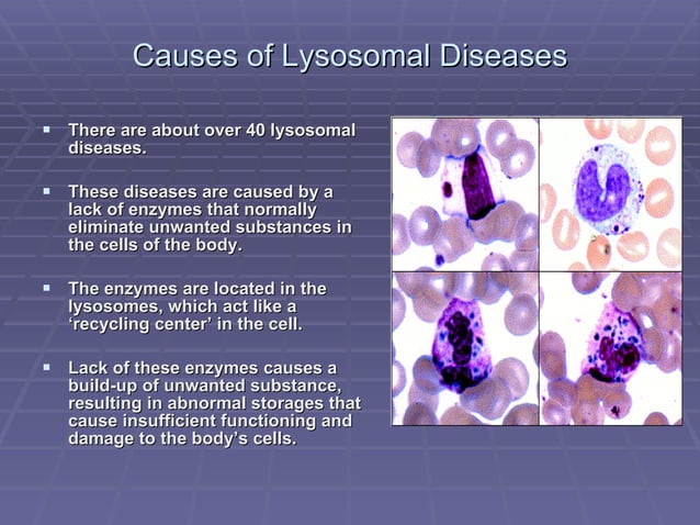 Lysosomal Storage Disease | PPT