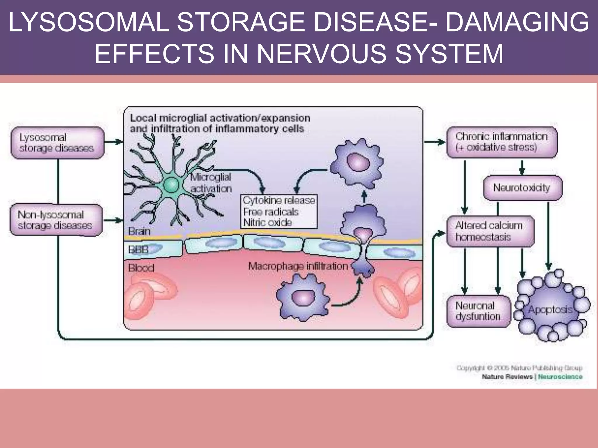 Lysosomal storage diseases | PPTX