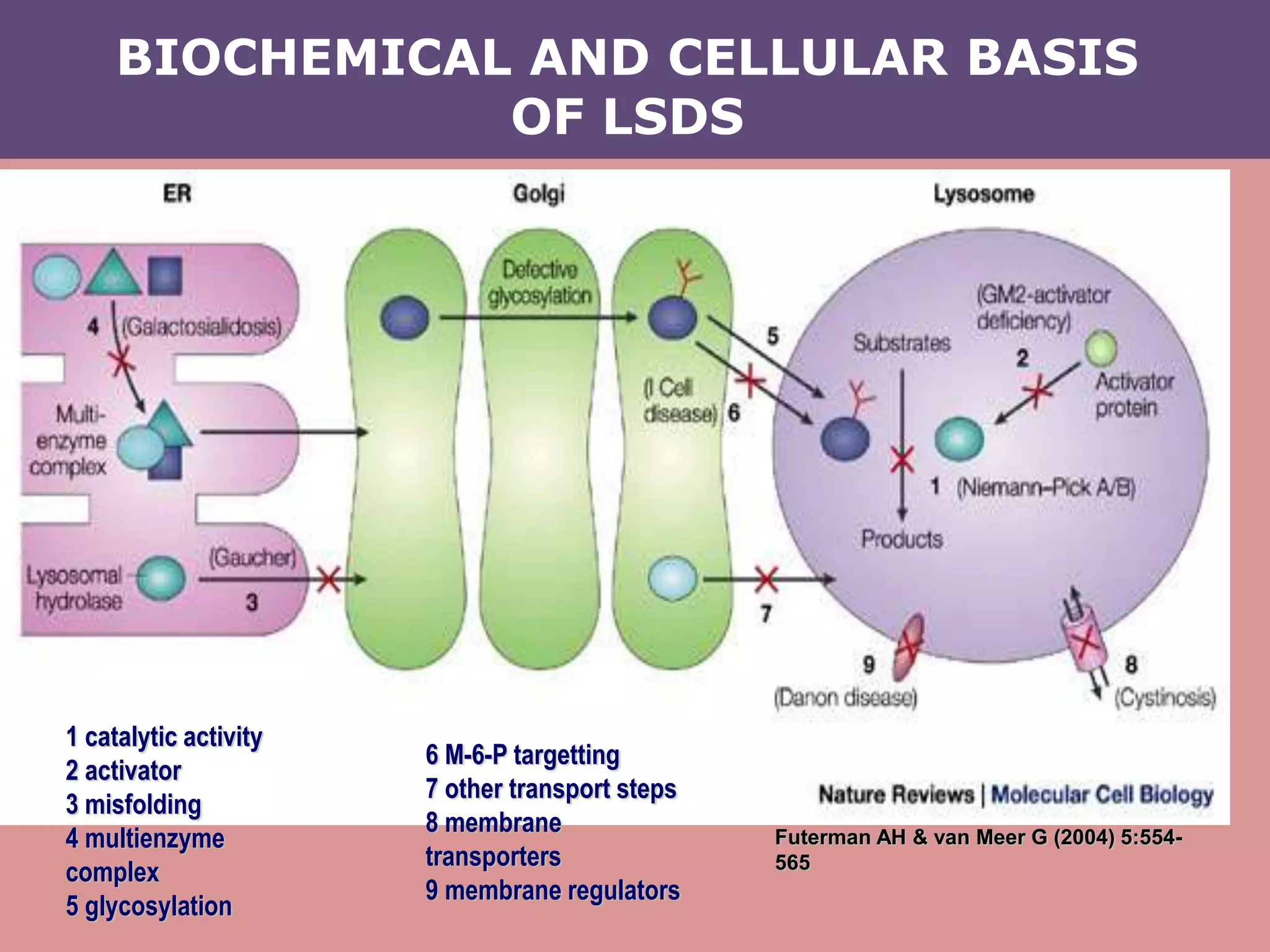 Lysosomal storage diseases | PPTX