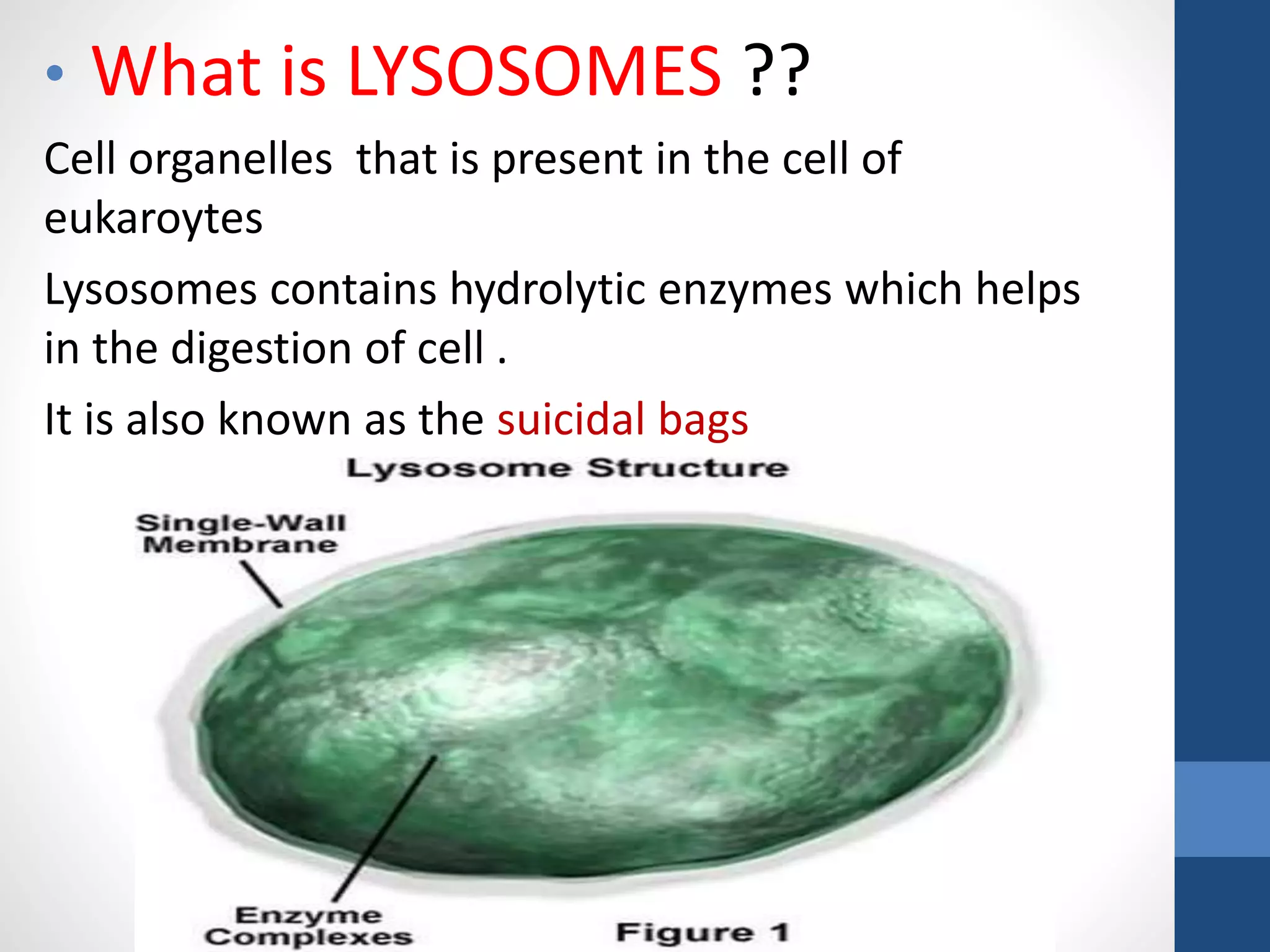 Lysosomal storage diseases | PPTX