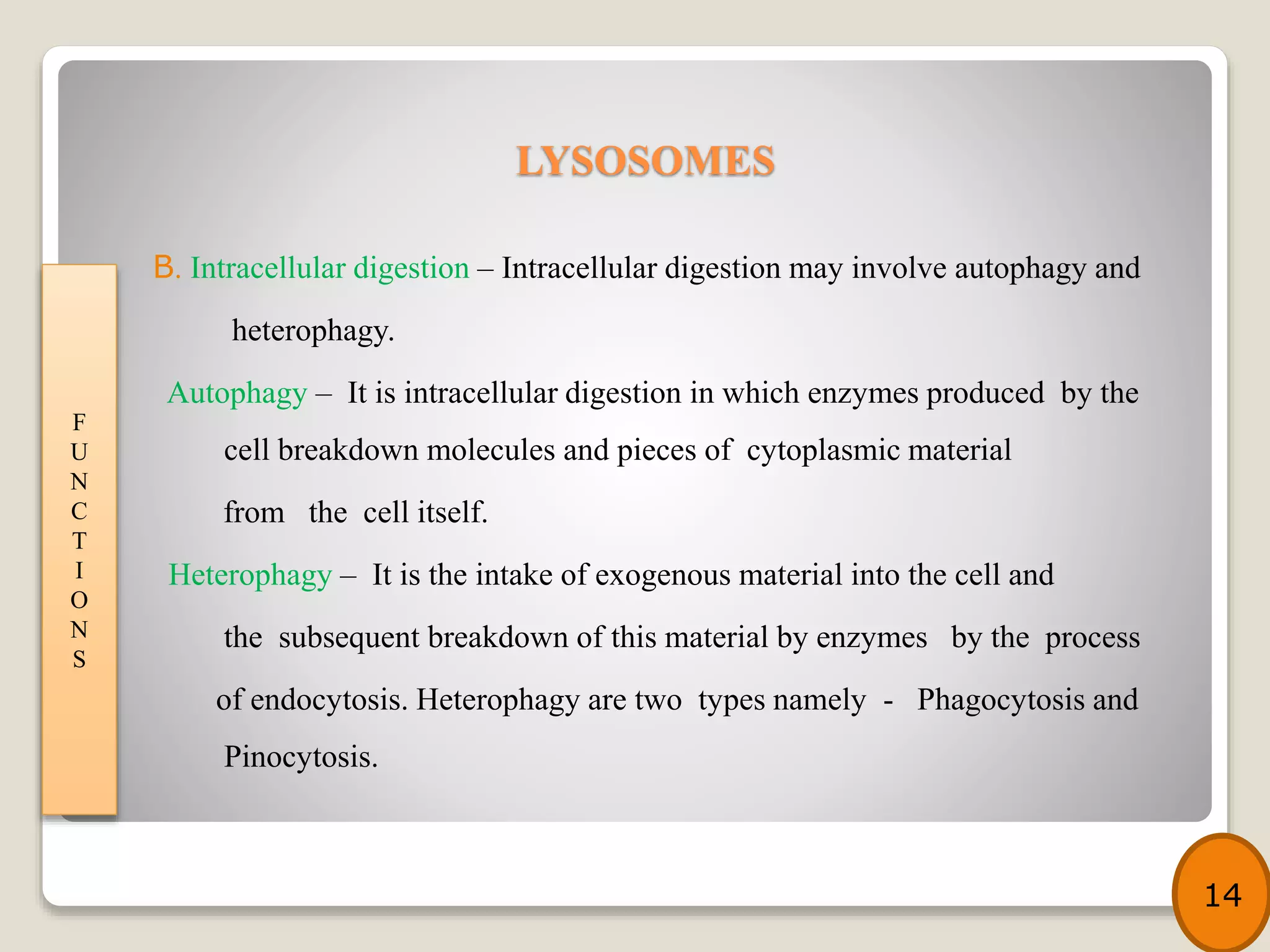 Lysosome | PPTX