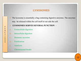 Lysosome | PPTX