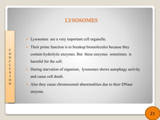 Lysosome | PPTX