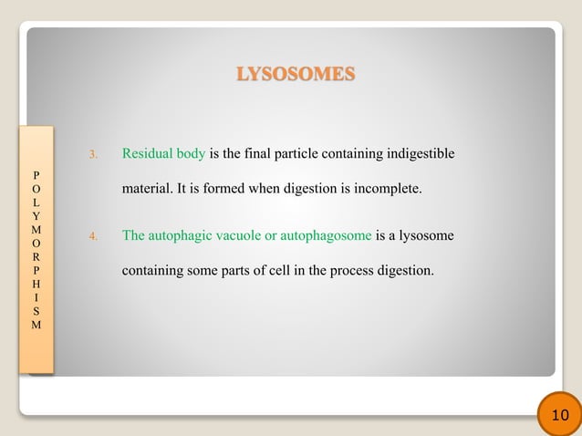 lysosome of the cell and its gogli apparatus | PPTX
