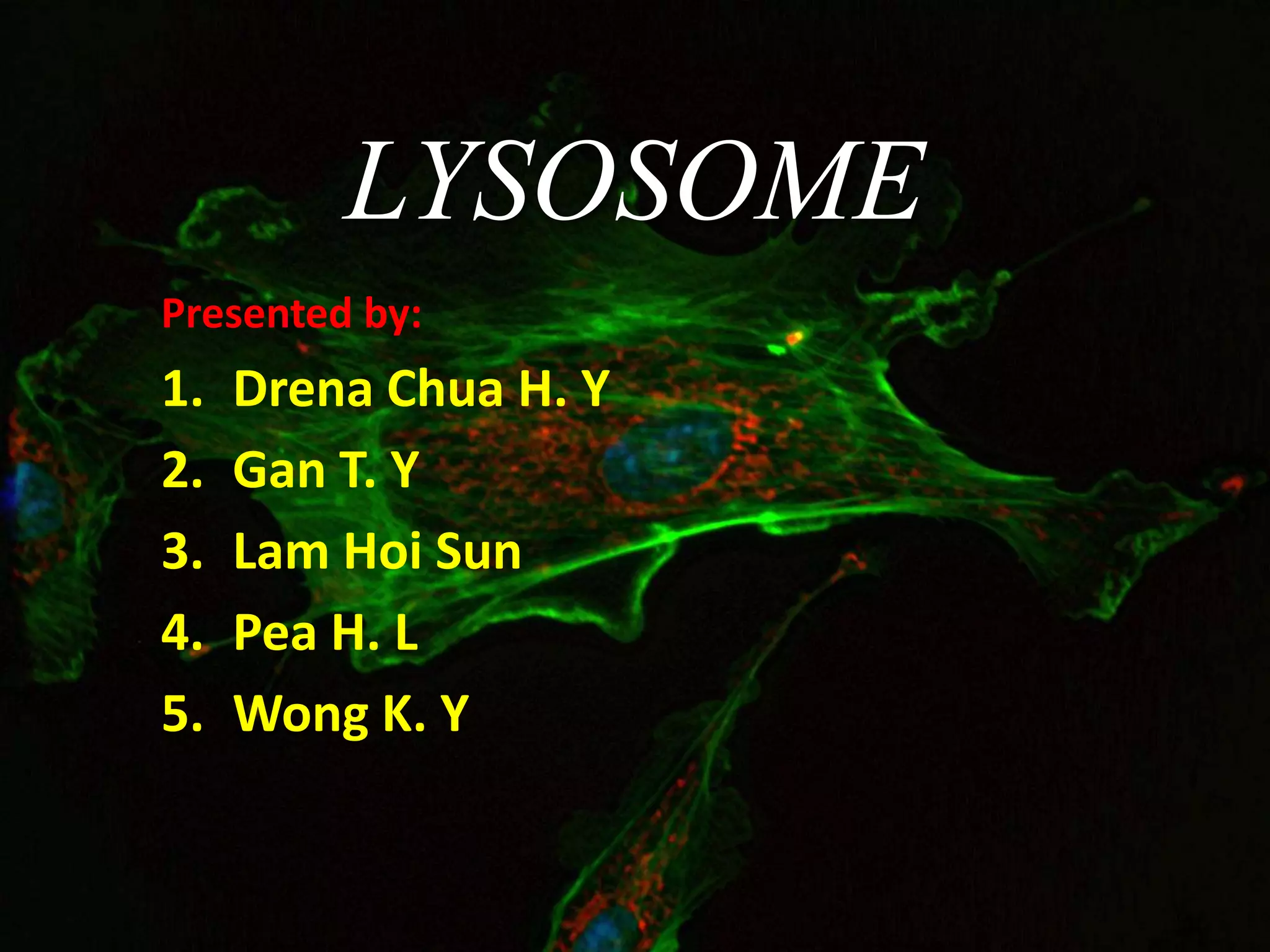 Lysosome | PPT