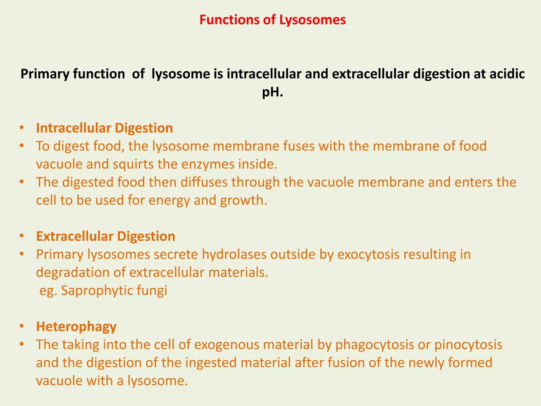Lysosome | PPTX