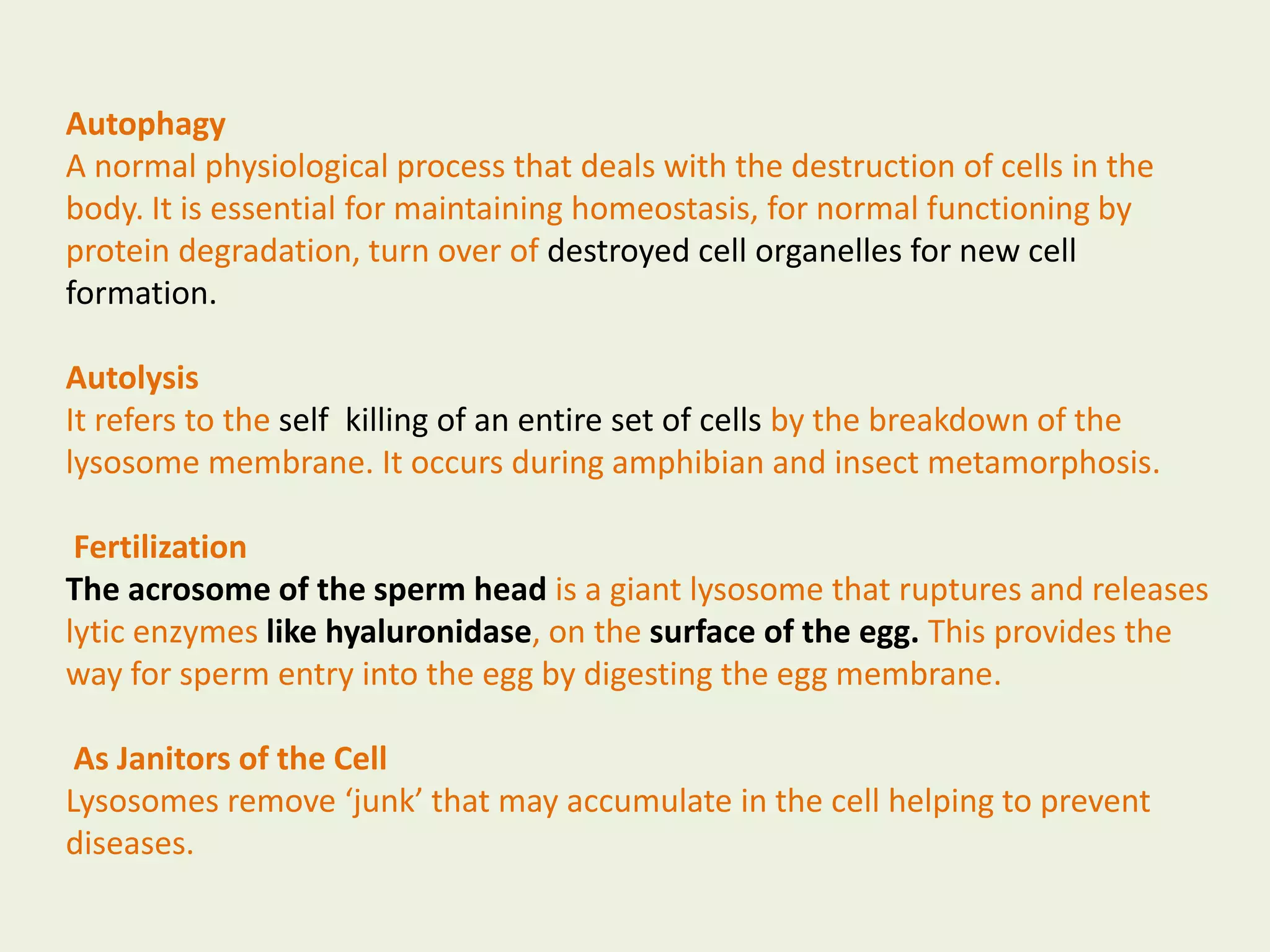 Lysosome | PPTX