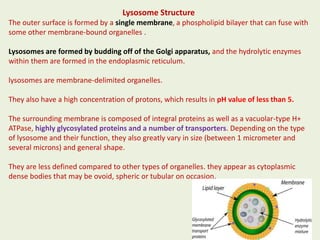 Lysosome | PPTX