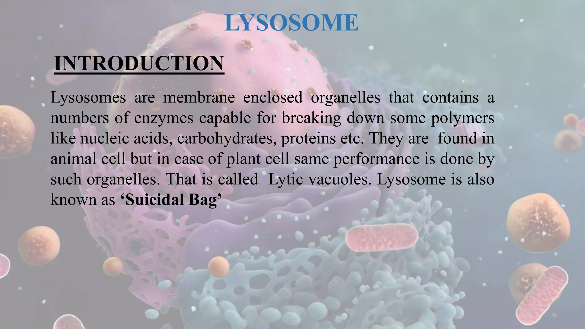 LYSOSOME.pdf