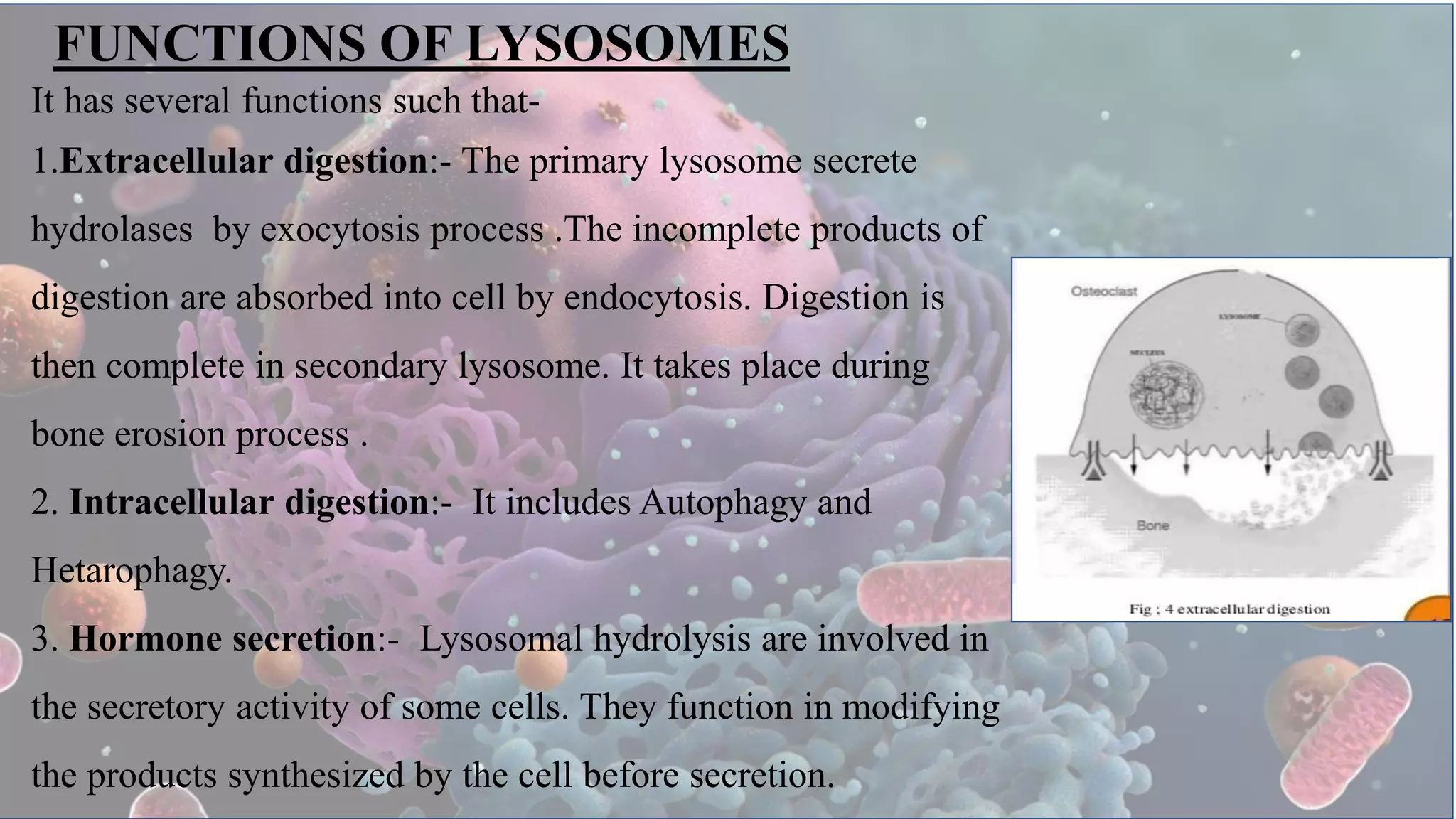 LYSOSOME.pdf