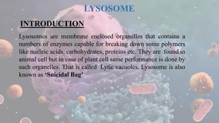 LYSOSOME.pdf