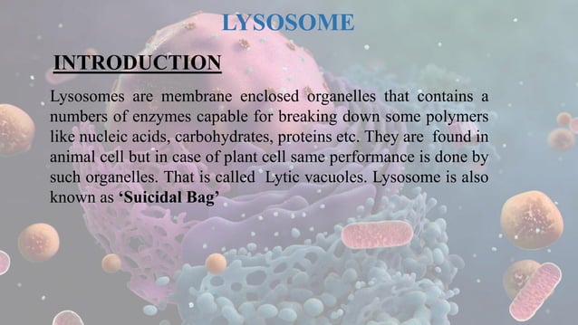 LYSOSOME.pdf