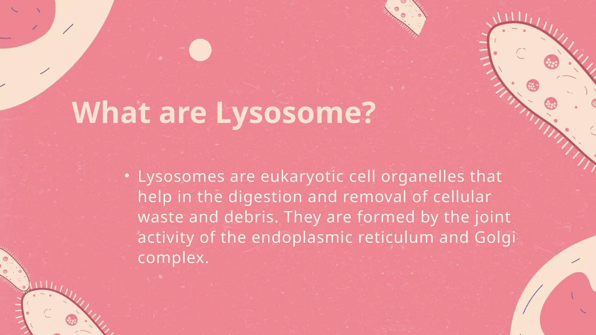 LYSOSOME-Cruz-Damalen.. . .. ... | PPTX