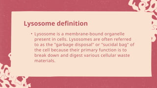 LYSOSOME-Cruz-Damalen.. . .. ... | PPT