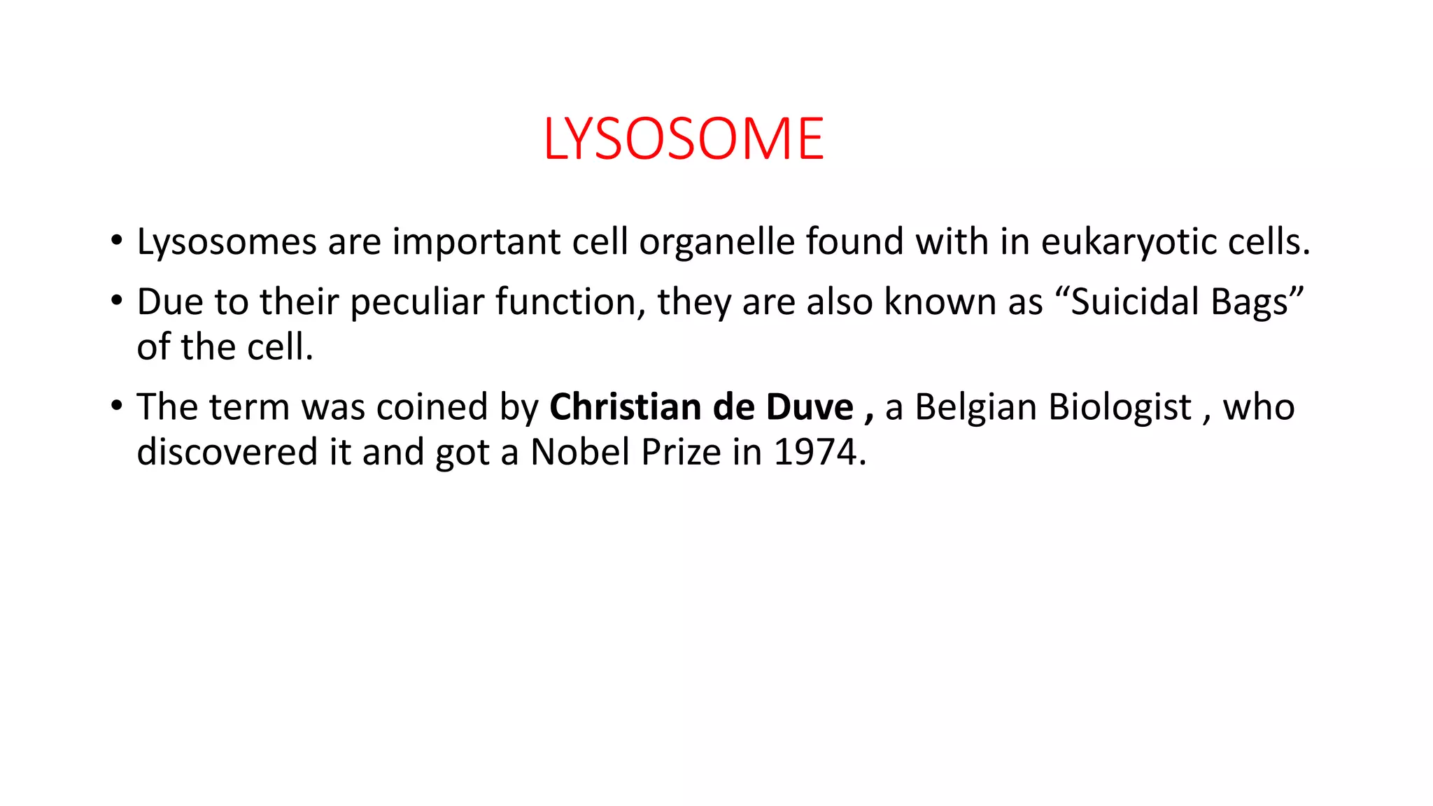 lysosome anatomy.pptx