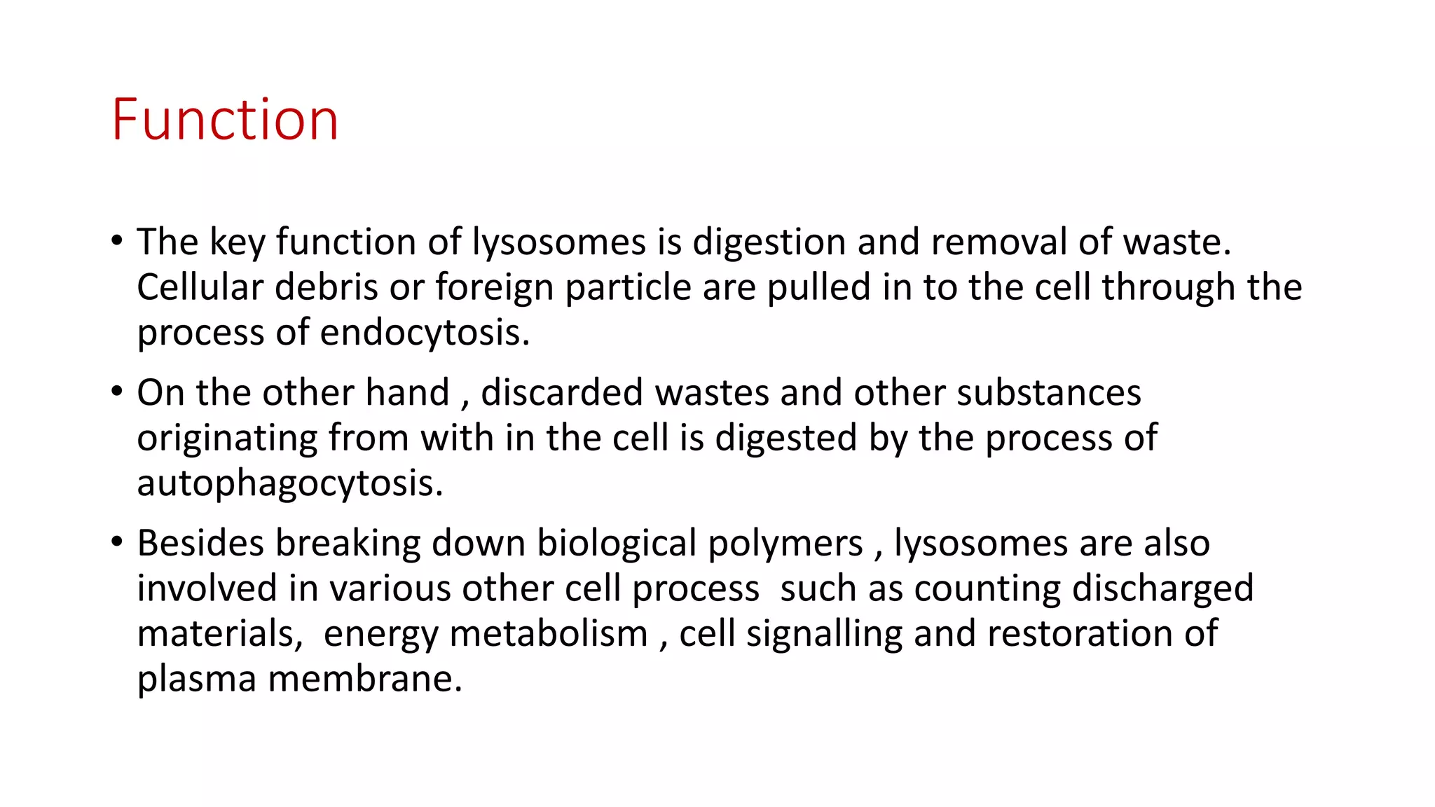 lysosome anatomy.pptx