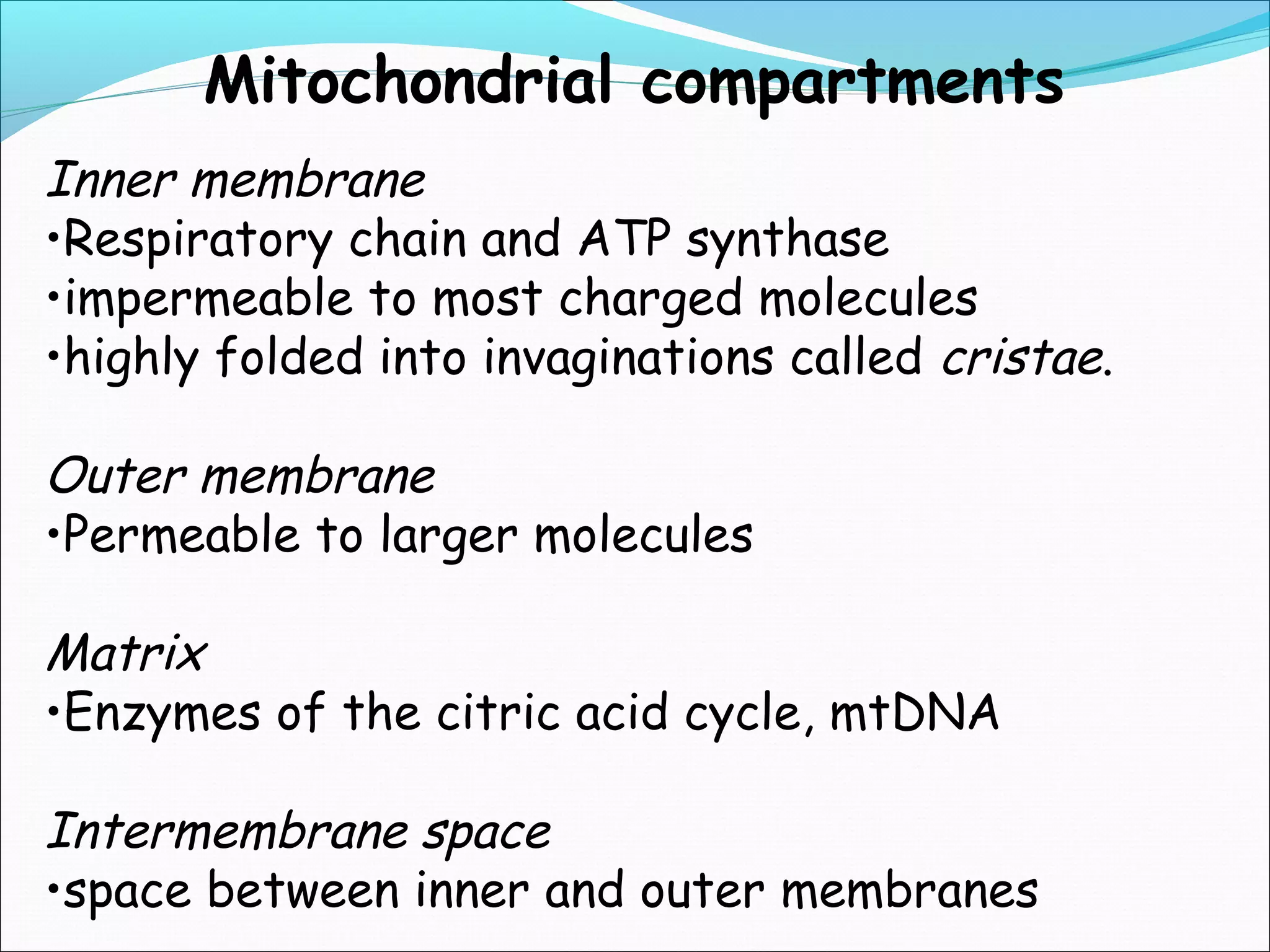 Lysosome & Mitochondria- Eukaryotic organless | PPT