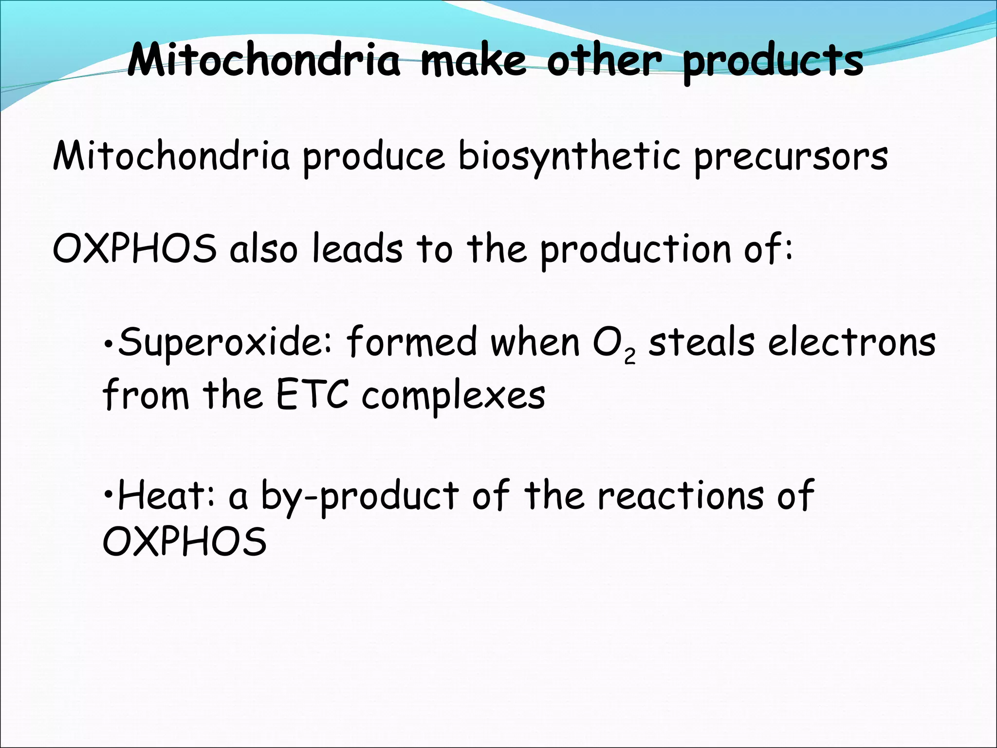 Lysosome & Mitochondria- Eukaryotic organless | PPT