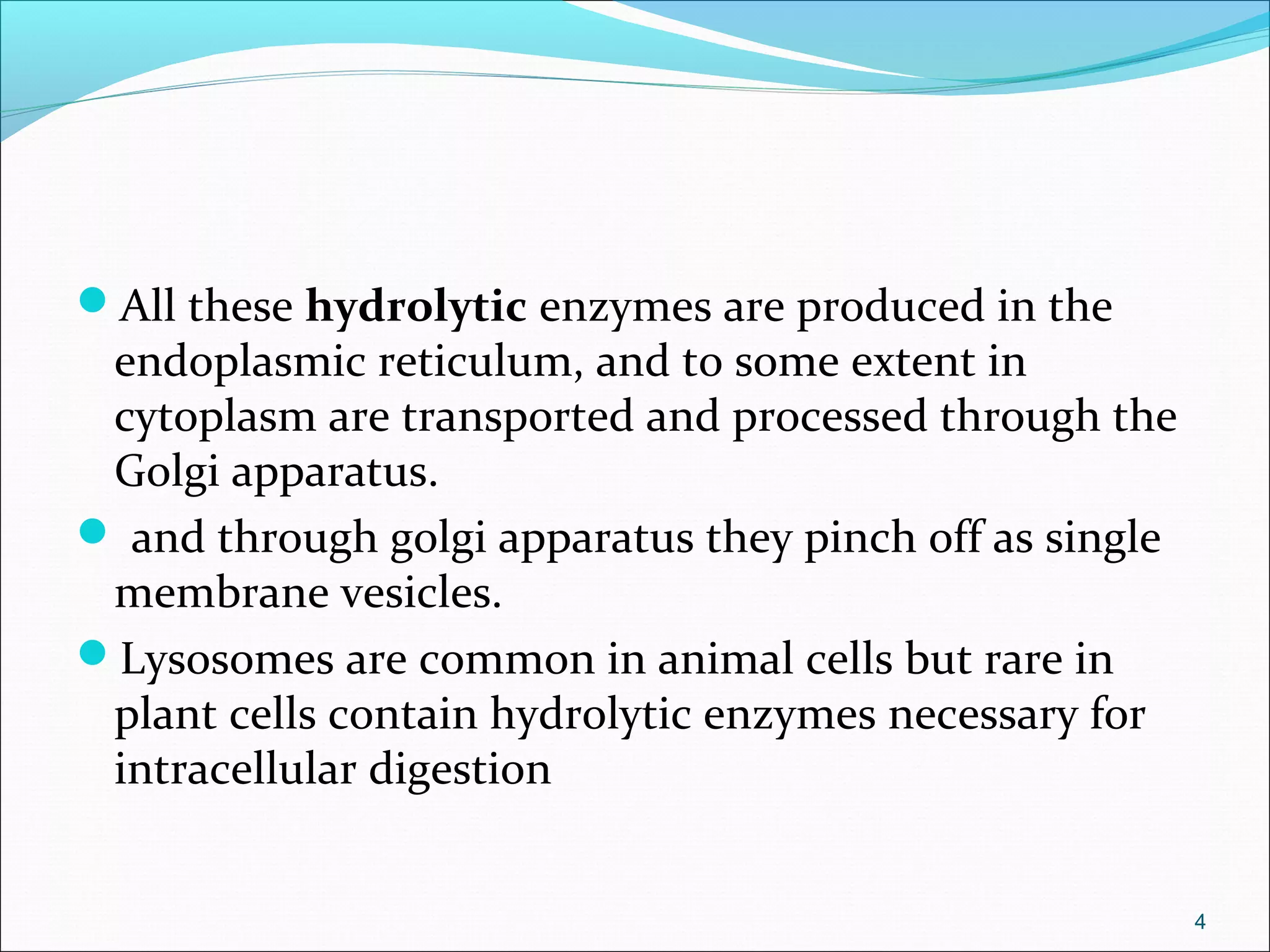 Lysosome & Mitochondria- Eukaryotic organless | PPT