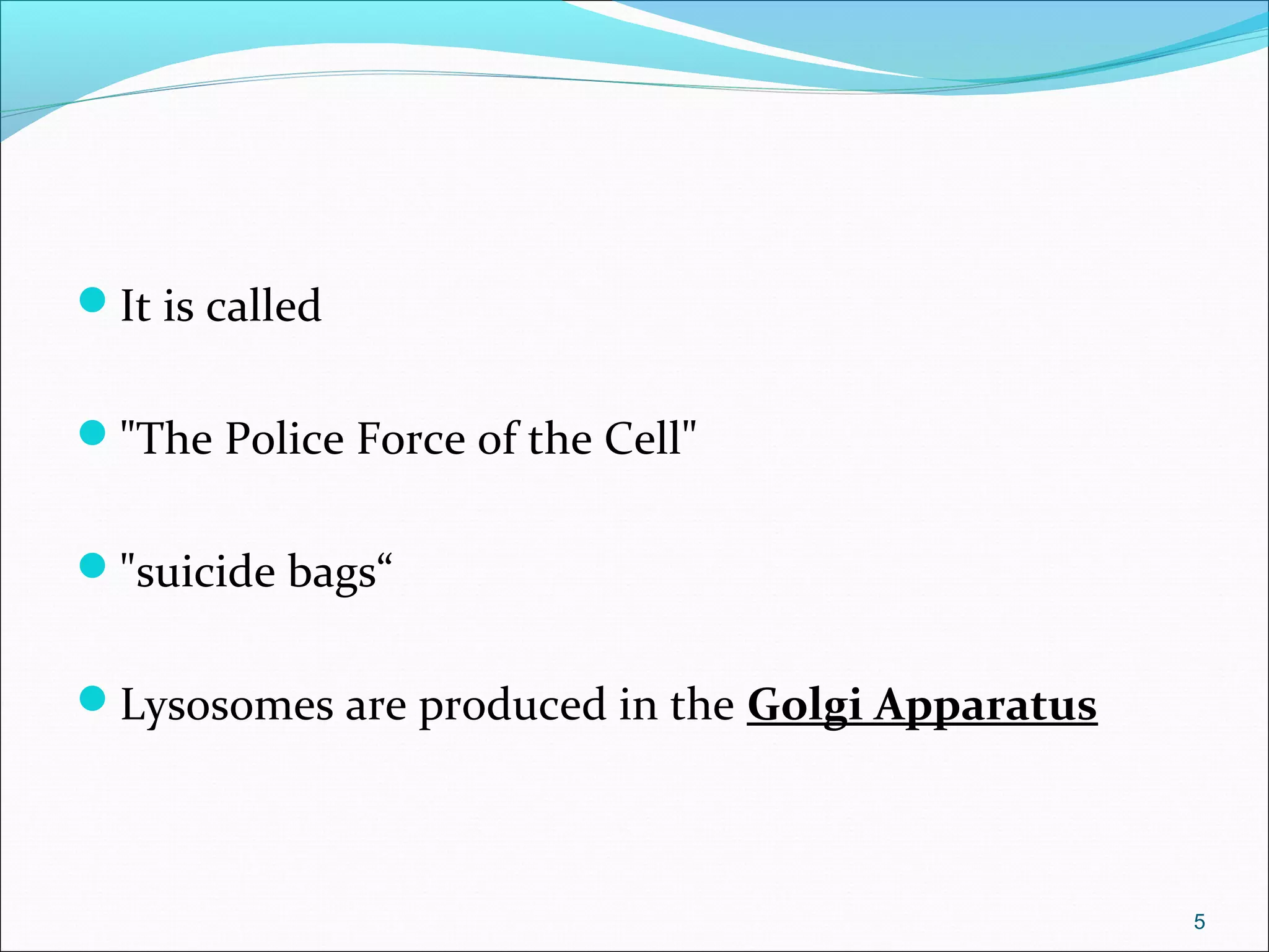 Lysosome & Mitochondria- Eukaryotic organless | PPT