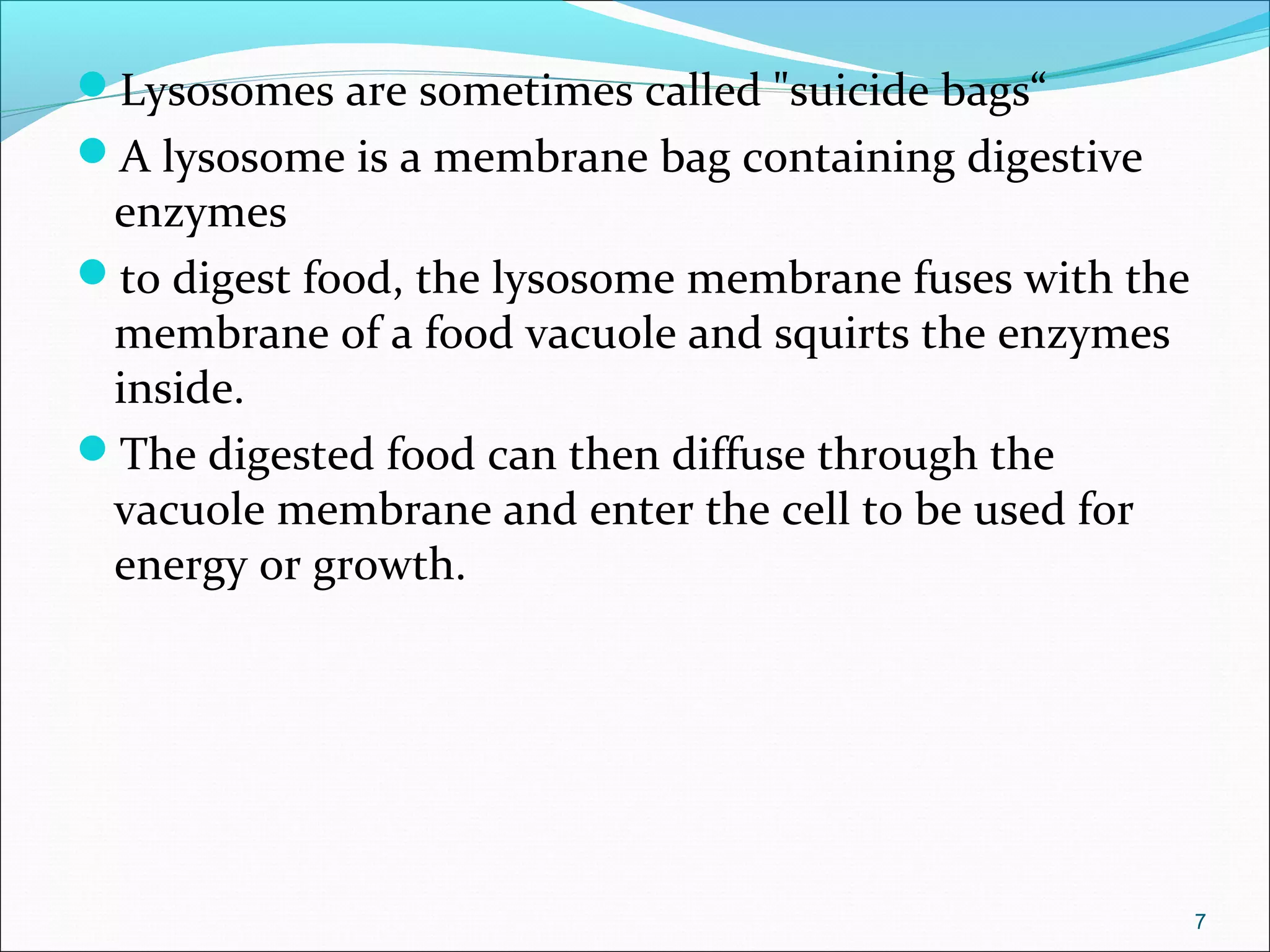 Lysosome & Mitochondria- Eukaryotic organless | PPT