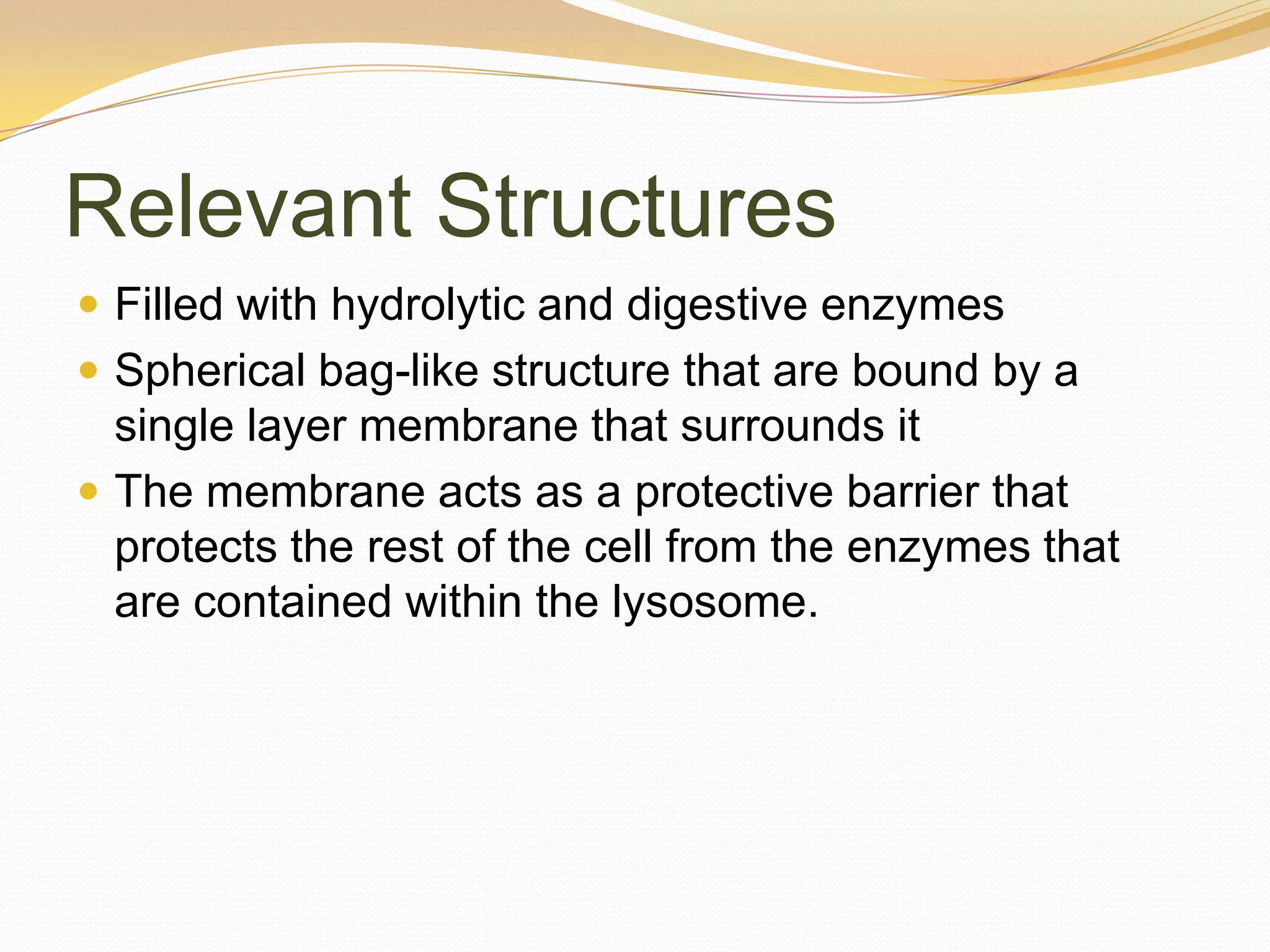 Lysosome powerpoint | PPTX