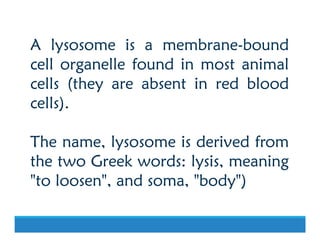 Lysosome.pdf