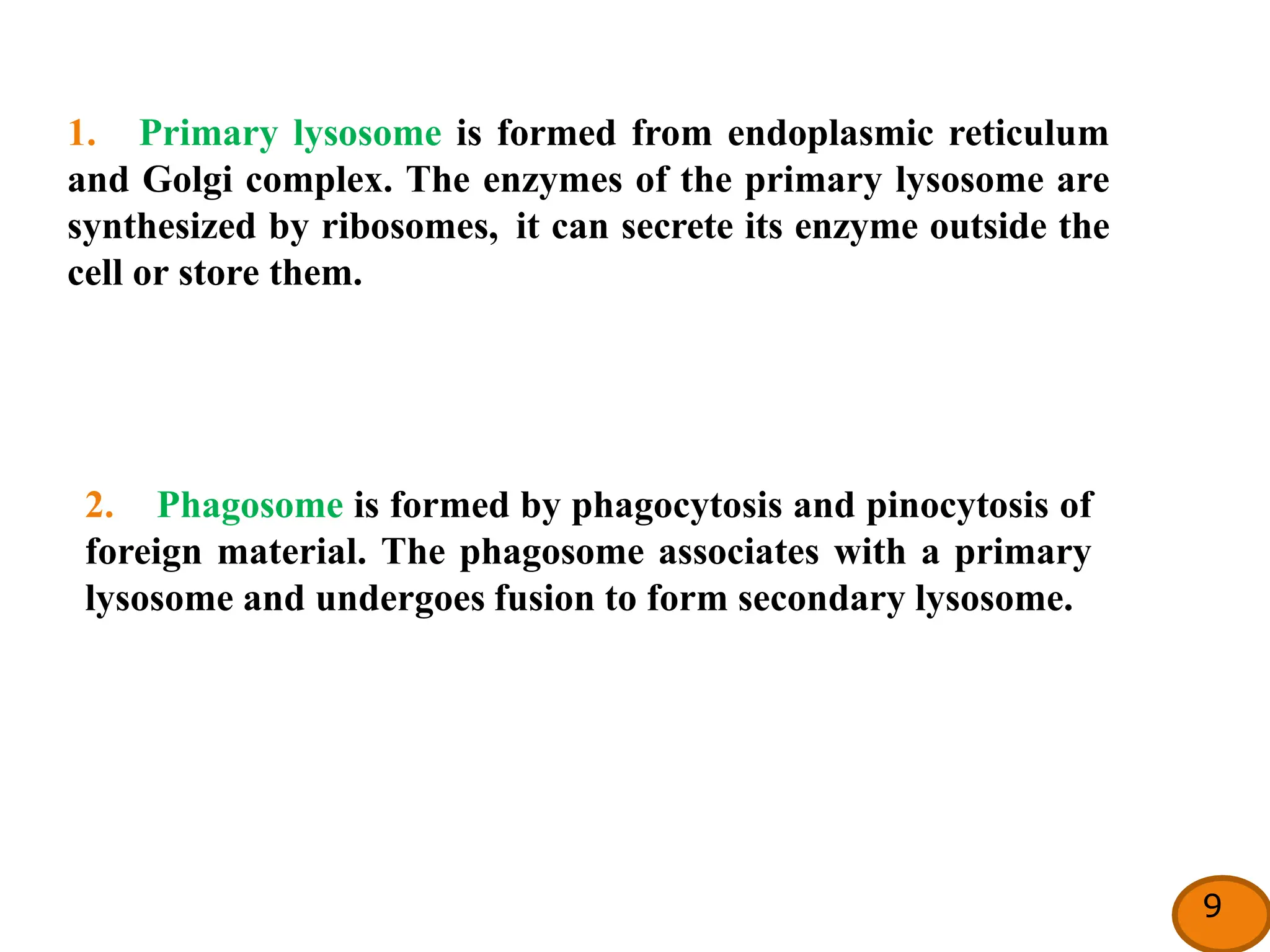 lysosome_ppt.pptx STRUCTURE AND FUNCTION | PPTX