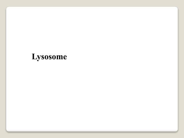 lysosome_ppt.pptx STRUCTURE AND FUNCTION | PPTX | Digestive Disorders ...