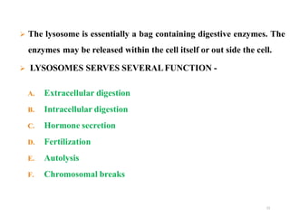 lysosome_ppt.pptx STRUCTURE AND FUNCTION | PPTX